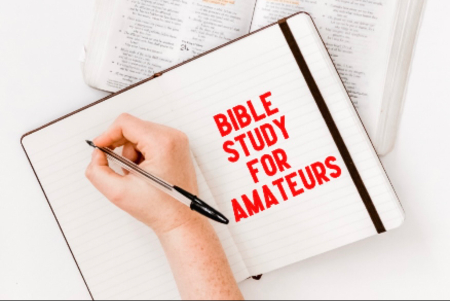 Bible Study for Amateurs #48 – The “We Passages” of Acts – The Amateur ...